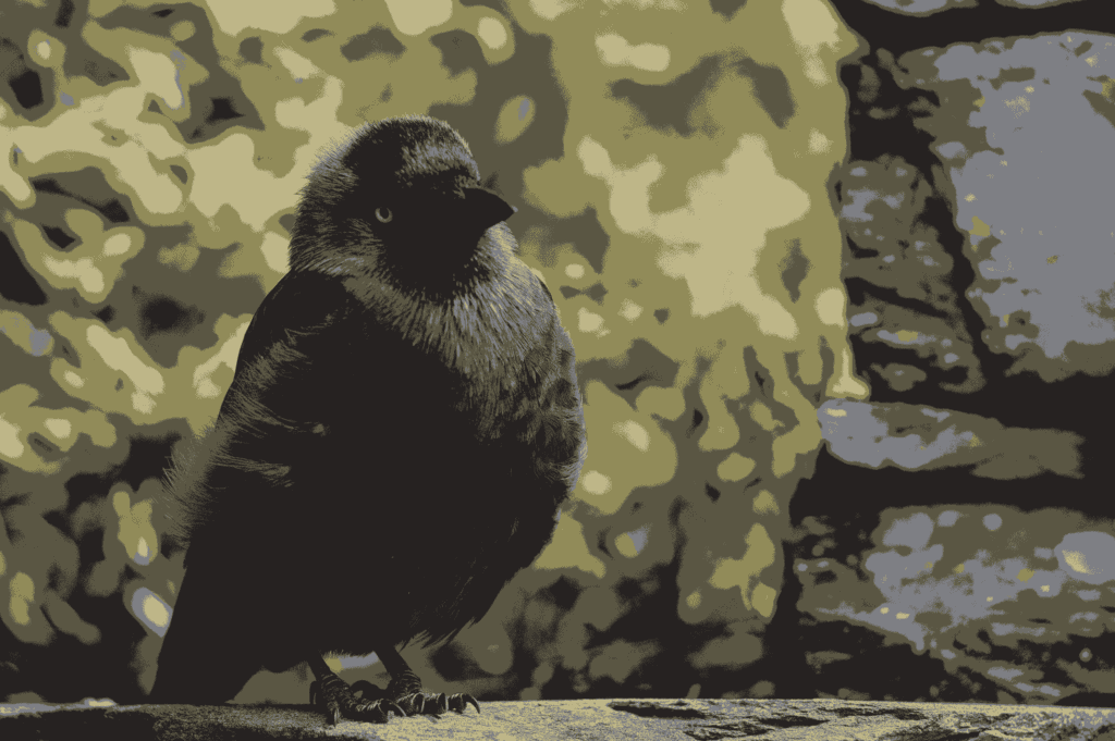 K Means Clustering For Image Segmentation With Python